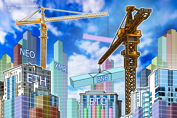 Neo (NEO) Price, Charts, and News | Coinbase: neoxa, neoxa wallet ...